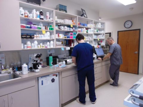 Fully-Stocked Veterinary Pharmacy - Northwest Animal Hospital